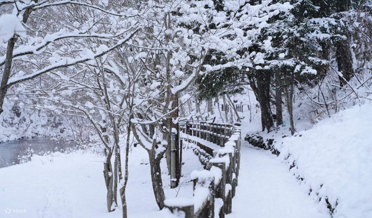 [Winter Limited, departure from Sapporo] Jozankei snow scenery tour × ...
